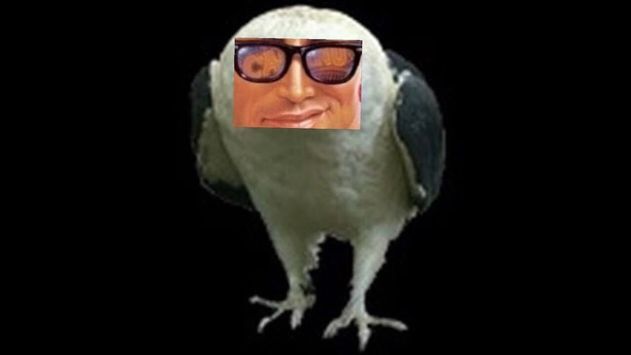 duke nukem albanian chad goes to china to save king tzar dude man - YouTube