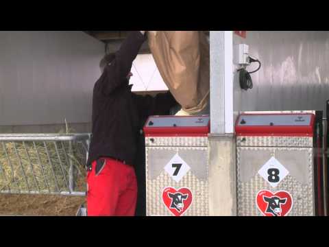 Urban CalfMom Paula ENGLISH 720p