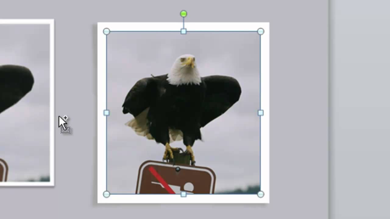 Create that Cool Polaroid Photo Effect - Speaking PowerPoint tip #9 ...