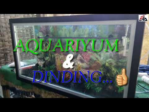 AQUARIYUM DINDIG....🤔