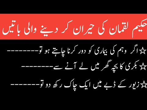 hikmet ki batain|zindagi mai kam ane walk batain |danahi ki batain |hakeem lukman ki hikmat|