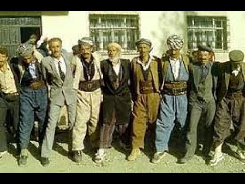Hakkari Yöresel ağızlar (Seydiko )