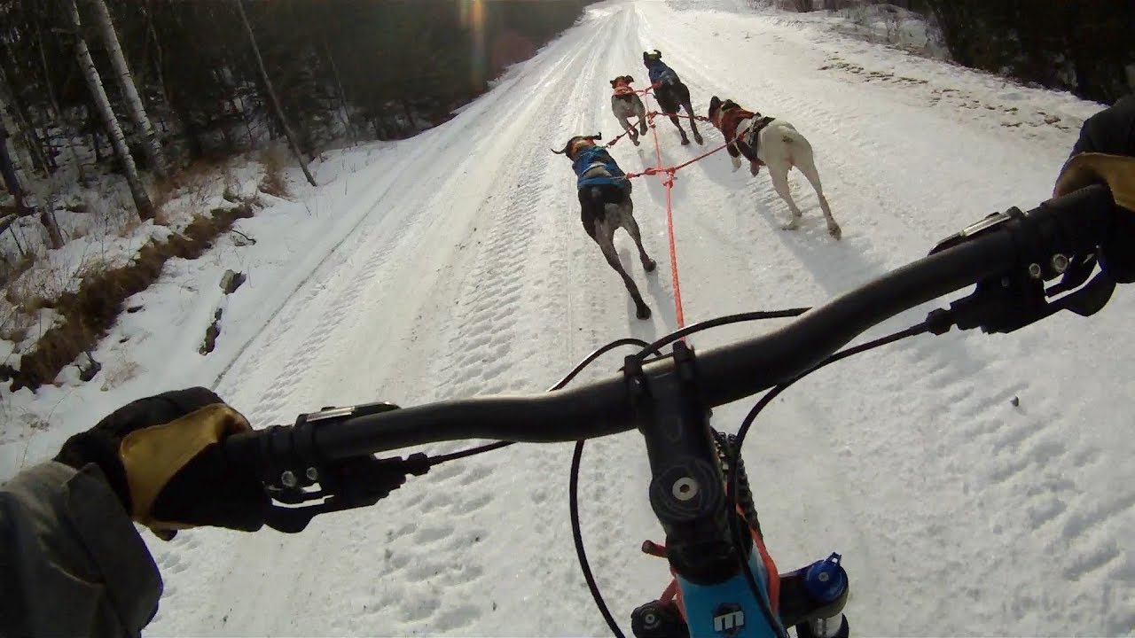 Bikejoring GSP's - YouTube