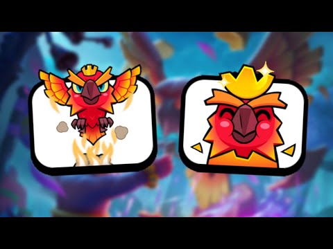 ALL Phoenix Emotes In Clash Royale! - YouTube