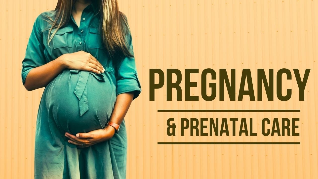 Essential Tips for a Healthy Pregnancy: The Ultimate Guide to Prenatal ...