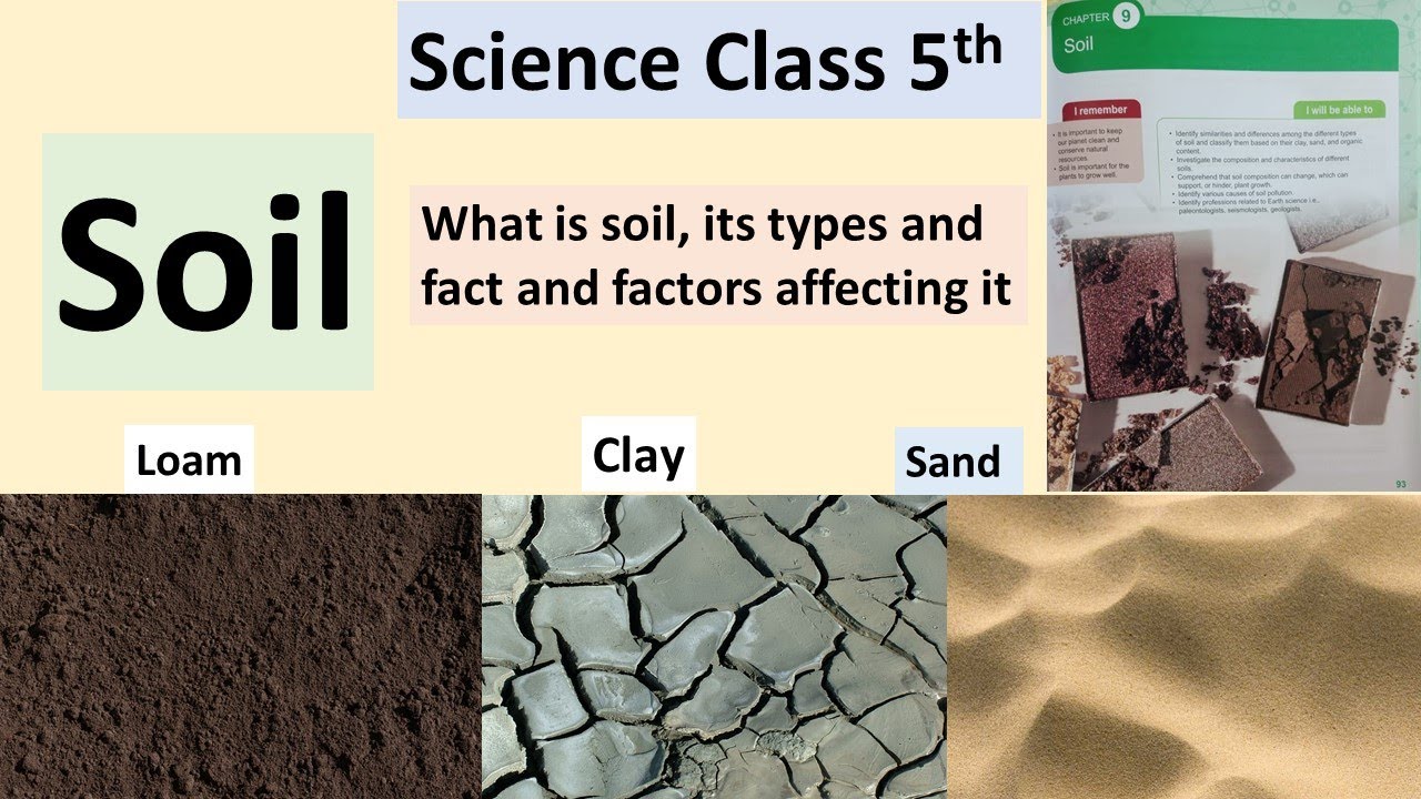 Science Class 5th. Adventures in Science 5. Chapter 9 Soil. All about ...