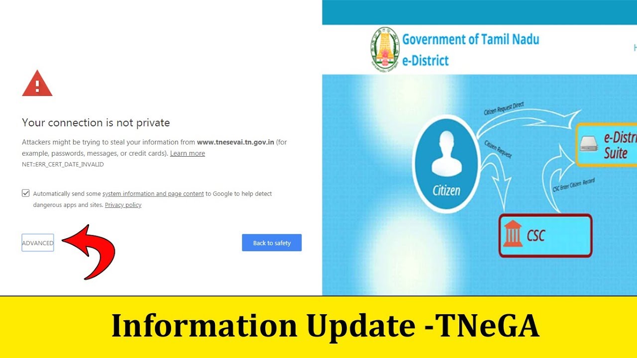 Information Update TNeGA - YouTube