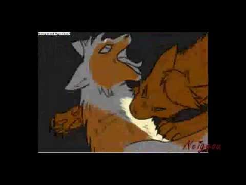 Speedpaint Warriors : Redtail's Death - YouTube