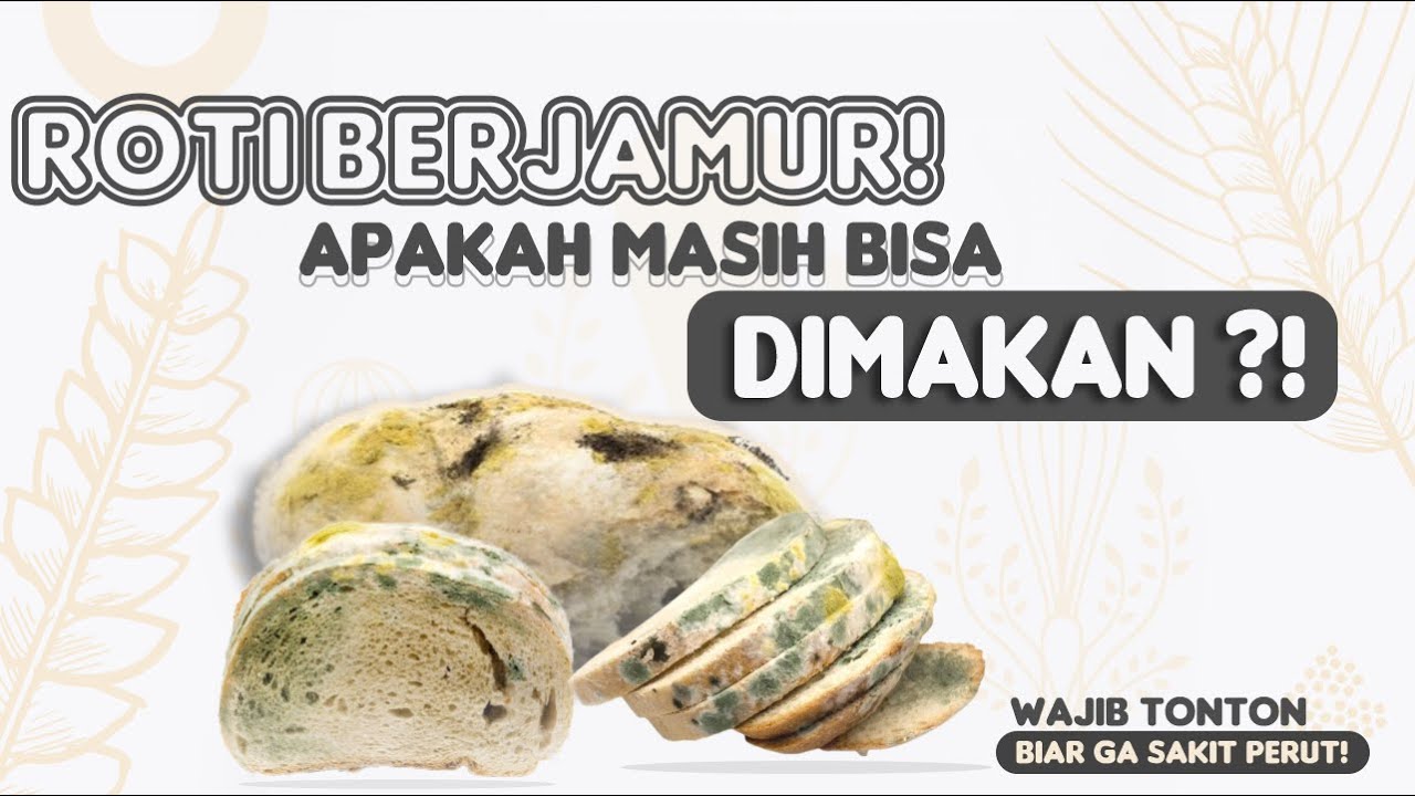 ROTI CEPAT BERJAMUR DAN KEDALUWARSA ‼️ || IS IT OK TO EAT EXPIRED BREAD ...
