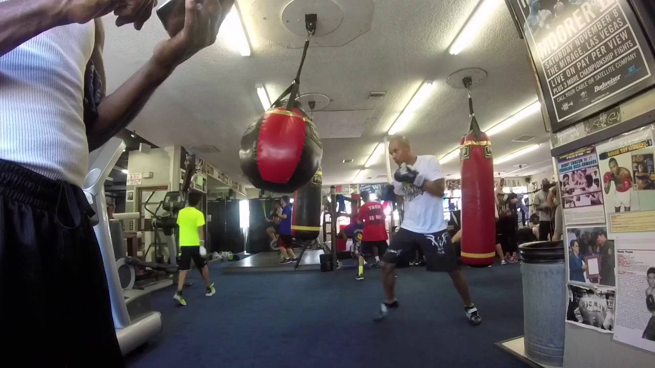 Adrian Bedlow clips of boxing combos on the body snatcher bag at ...