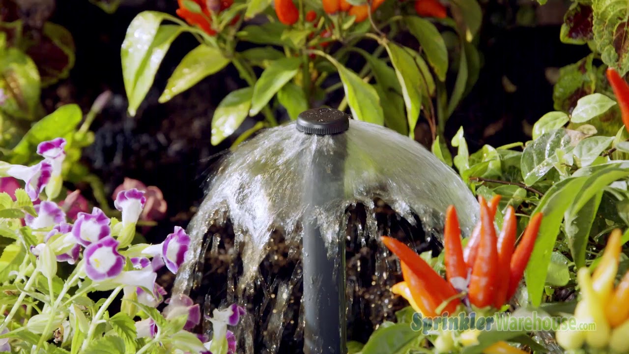 PCB-10 Hunter PC Umbrella Bubbler - YouTube