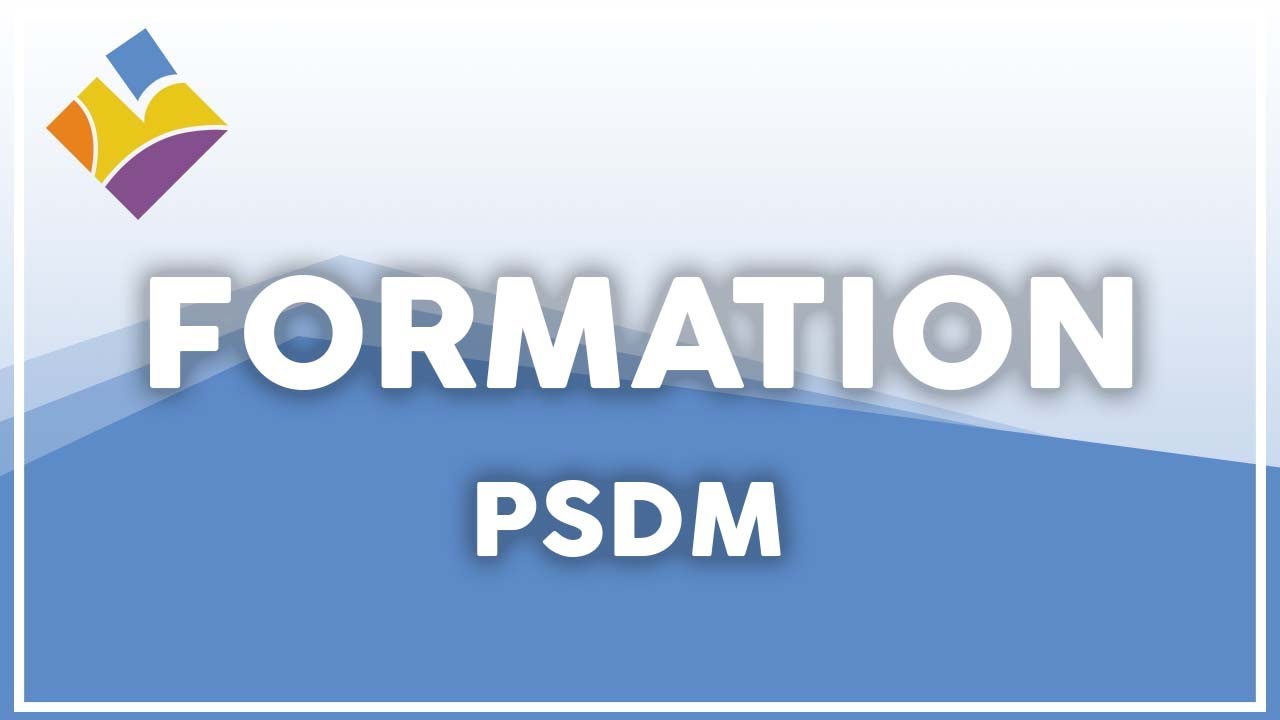 Formation PSDM - YouTube