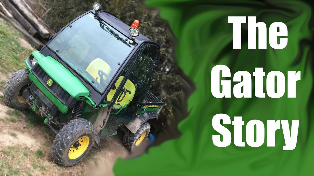 The Gator - YouTube