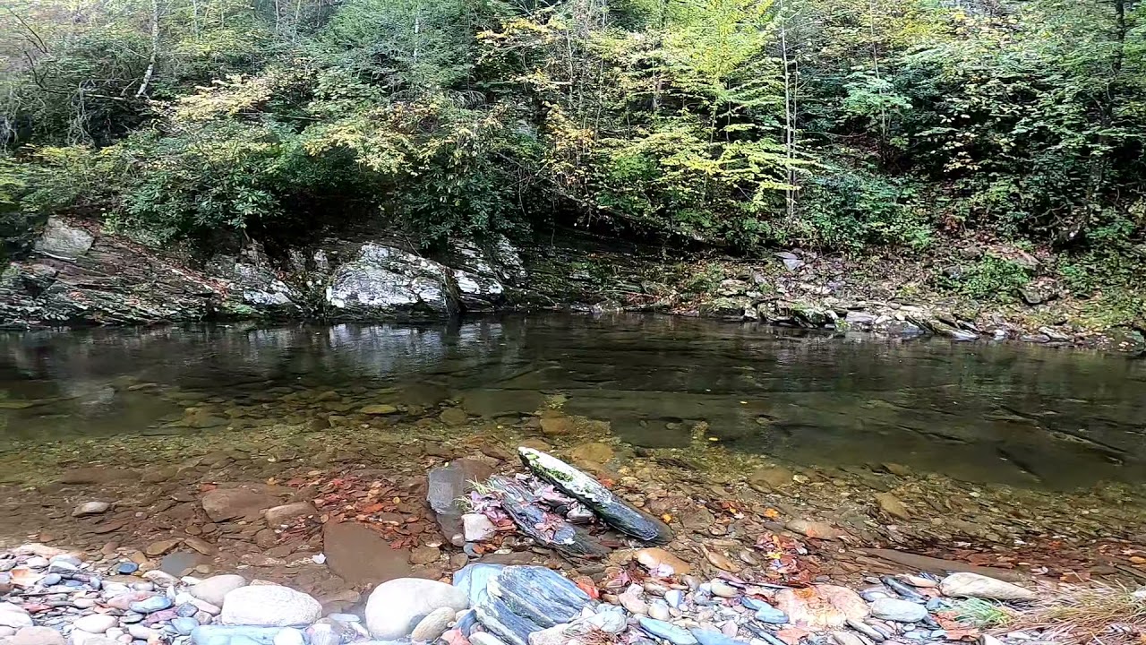 Scenes from Citico Creek | Cherokee National Forest - YouTube