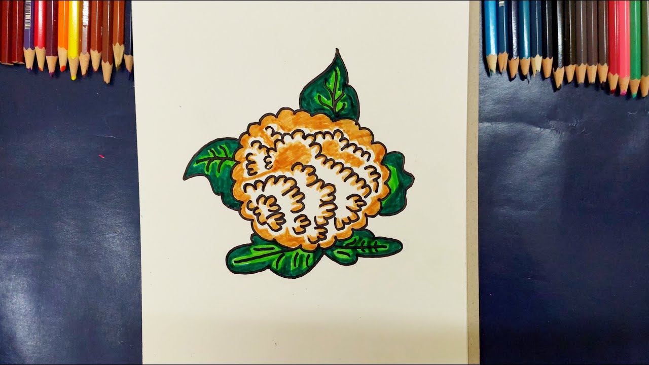How to draw cauliflower easy - cauliflower drawing step by step - YouTube
