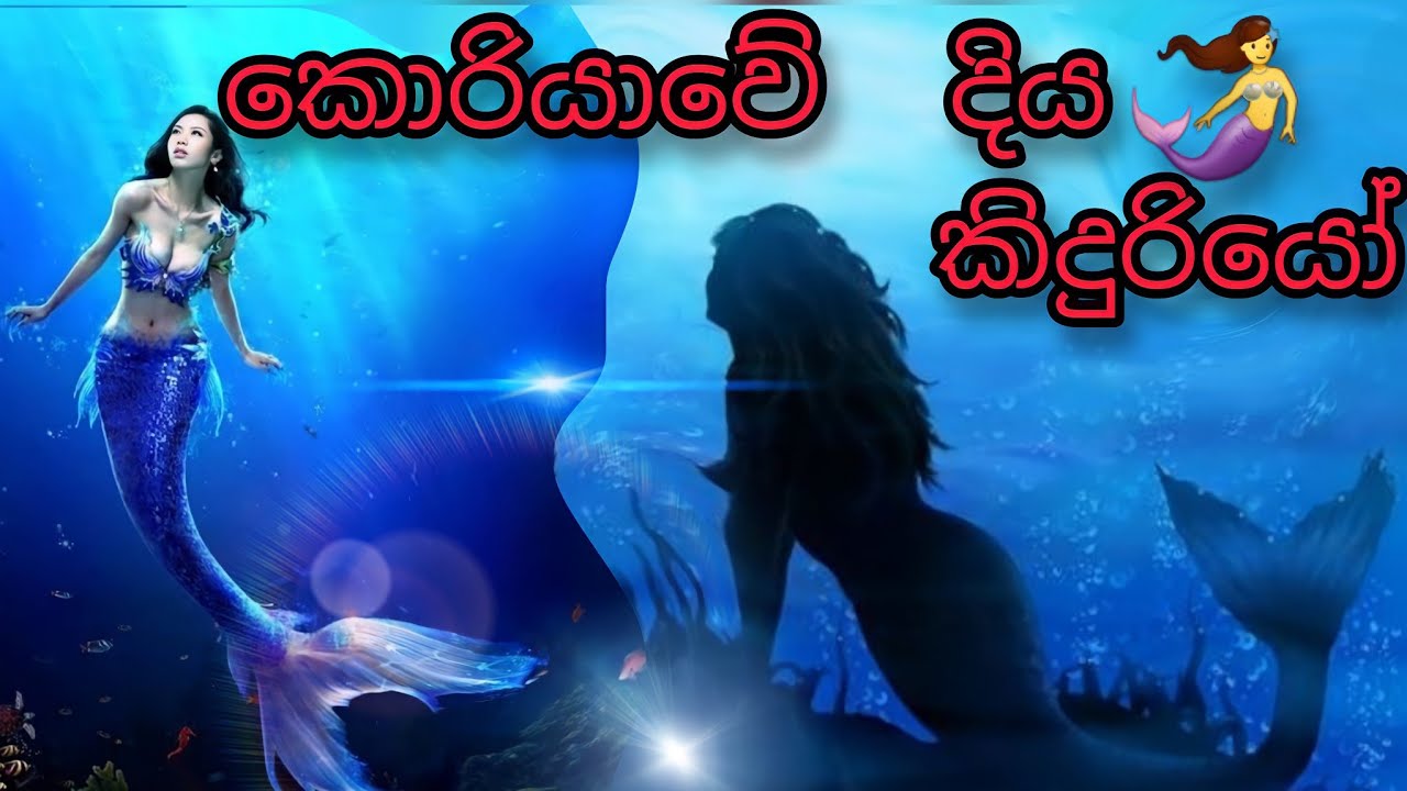 කොරියාවේ දිය කිදුරියෝ / Diya kiduriyo/Real Mermaid / 한국 인어 / දිය ...
