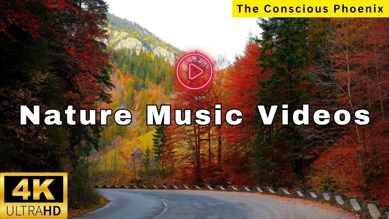 Nature Forest Relaxation Music 4K - Peaceful Relaxing Music - Nature 4k ...