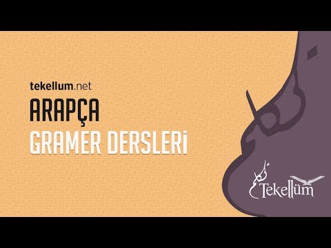 KL038 Renkler (Eril-Dişil/Tekil-Çoğul)