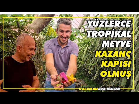 Tanesi 40 tl olan var.\