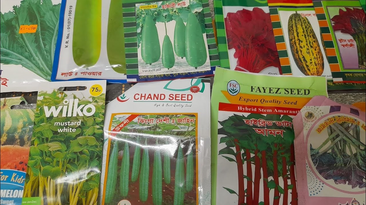 This is my seed collection for next year. - YouTube