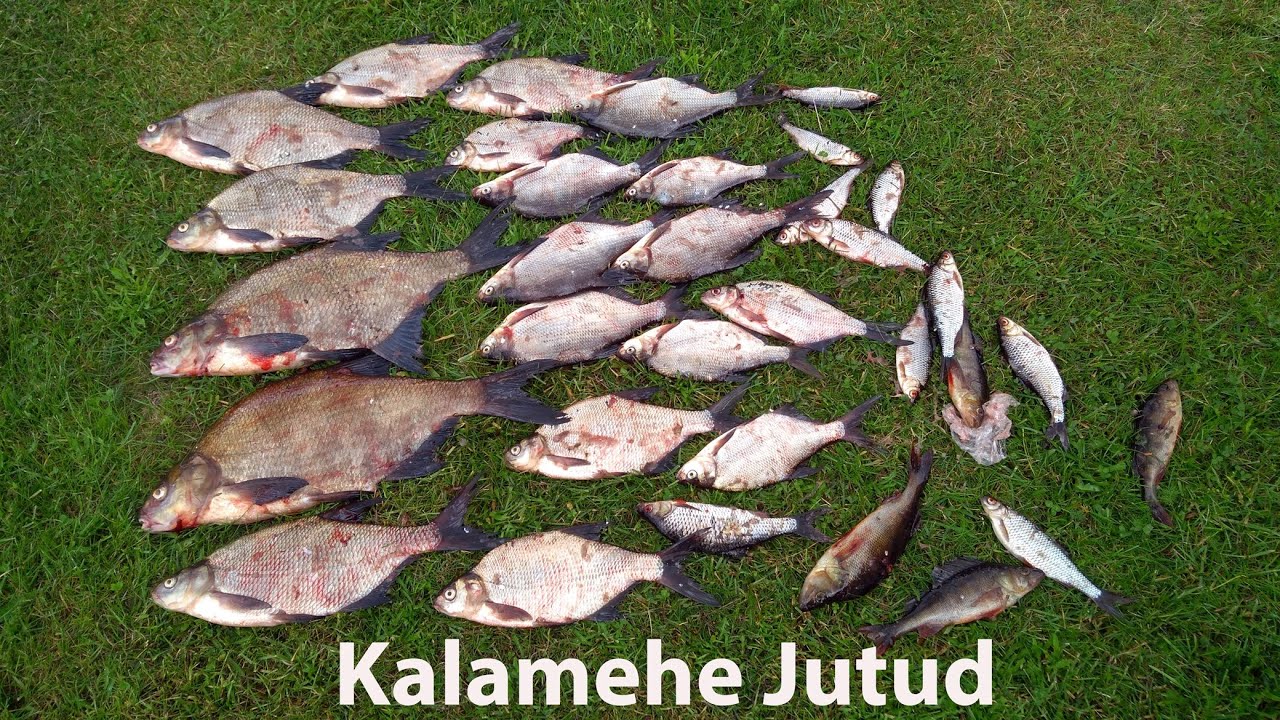 Kalamehe jutud - YouTube