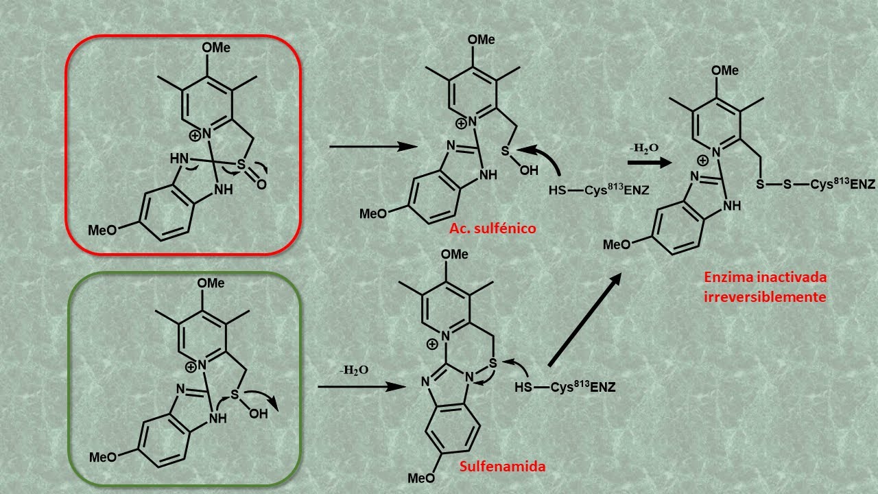Omeprozole/Esomeprazole mechanism of action - YouTube