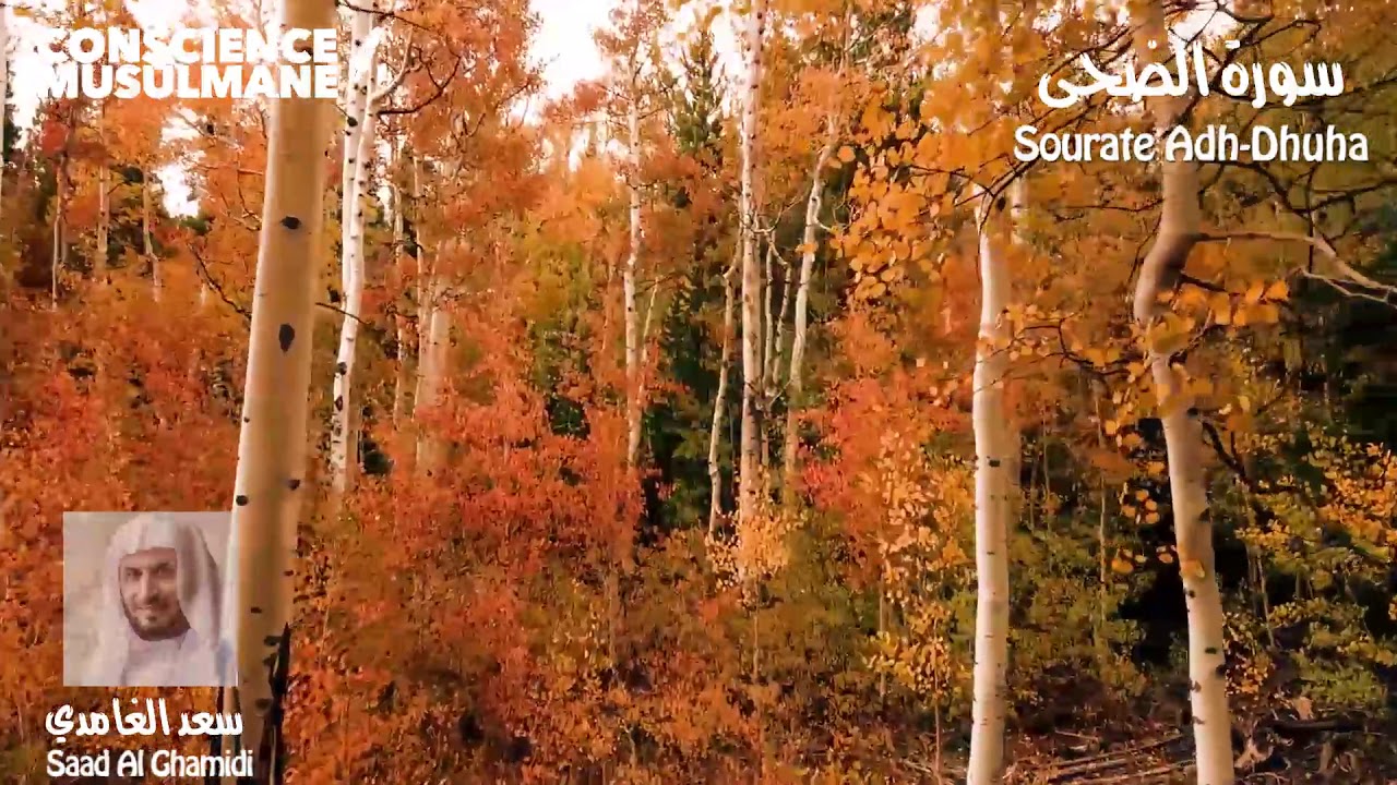 Sourate 93 Ad Duha Le Jour Montant سورة الضحى سعد الغامدي