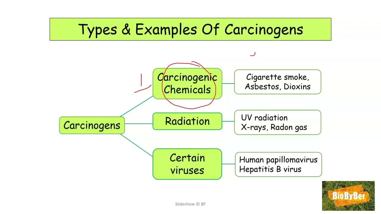 Carcinogens Examples