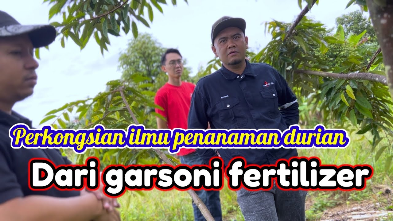 Tanam durian perlukan ilmu.. perkongsian ilmu wakil syarikat Garsoni ...