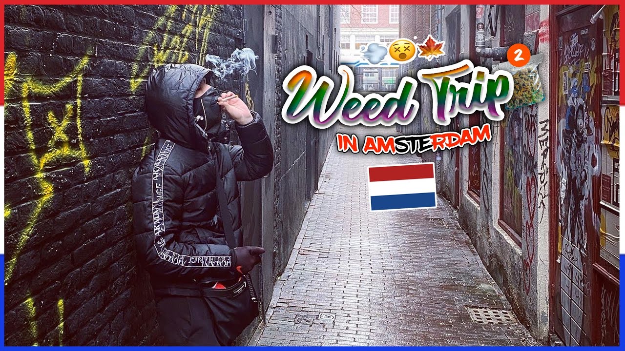 Weed Trip Amsterdam : Cali, Edibles... 🇳🇱 - YouTube