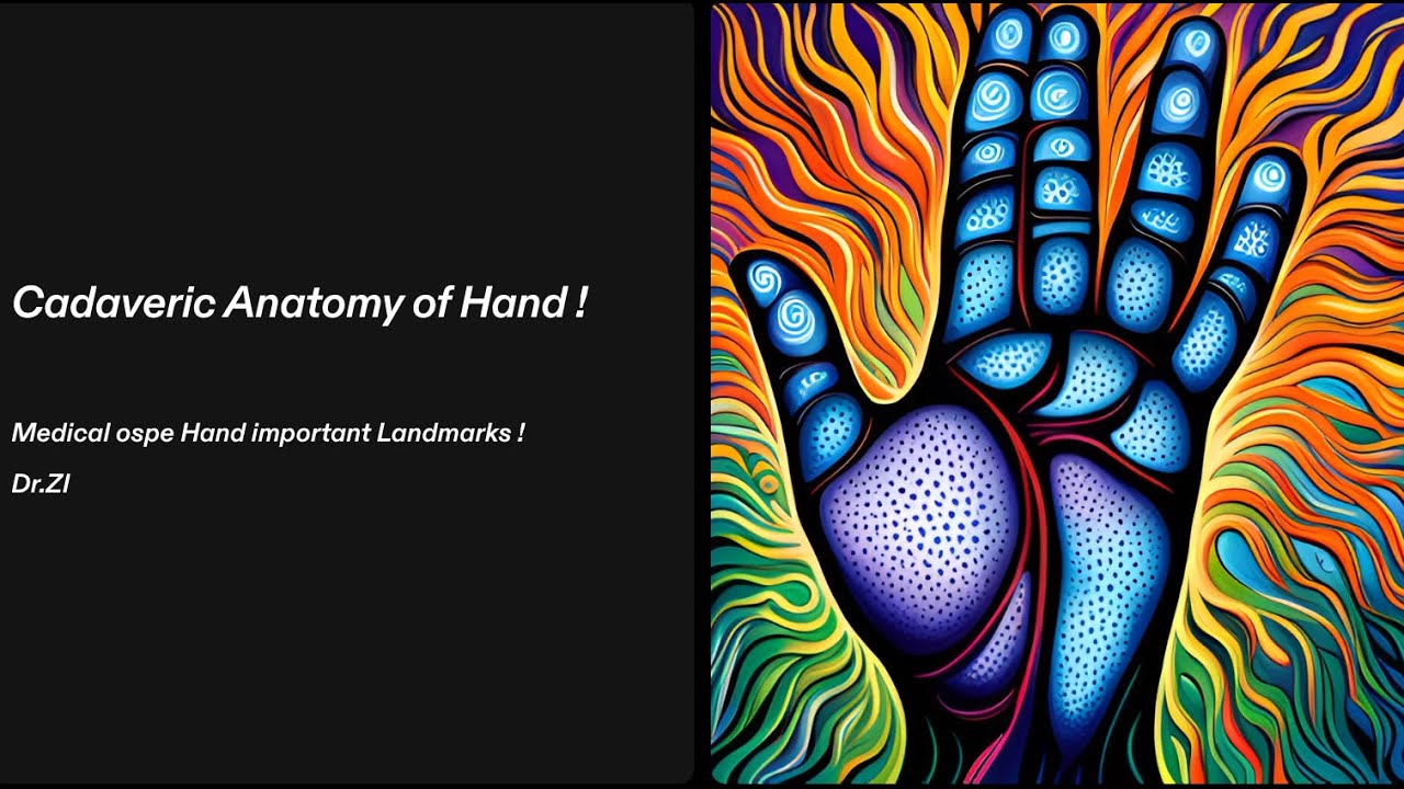 Cadaveric Anatomy of Hand ! Ospe of Hand ! - YouTube