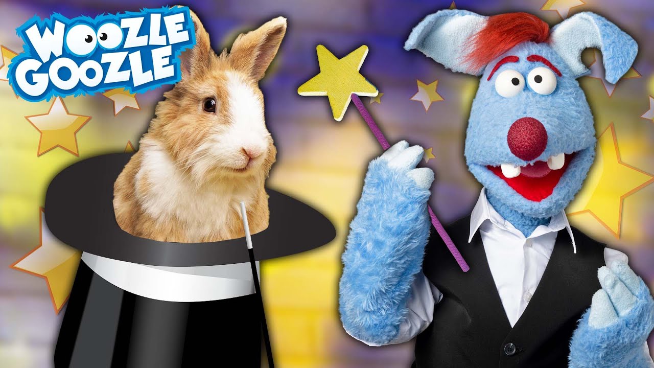 Best Of Magie und Tricks l WOOZLE GOOZLE - YouTube