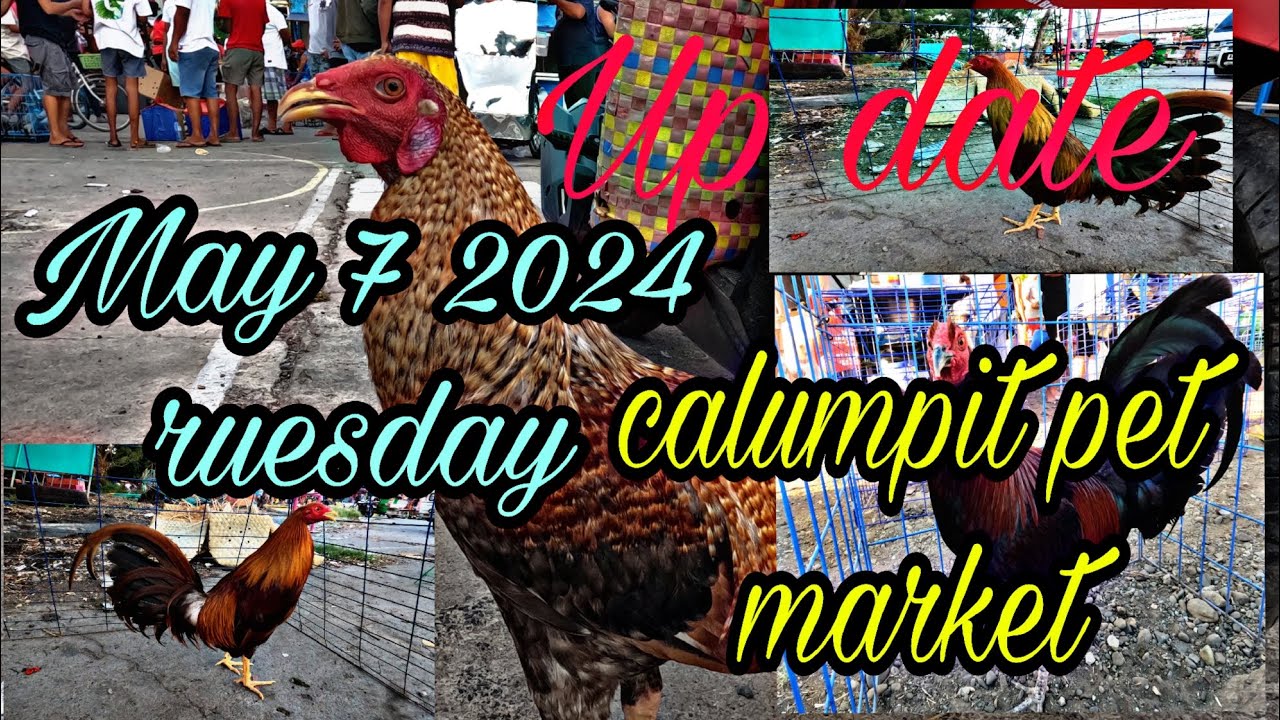 Up date, may 7 2024 tuesday calumpit pet market. - YouTube