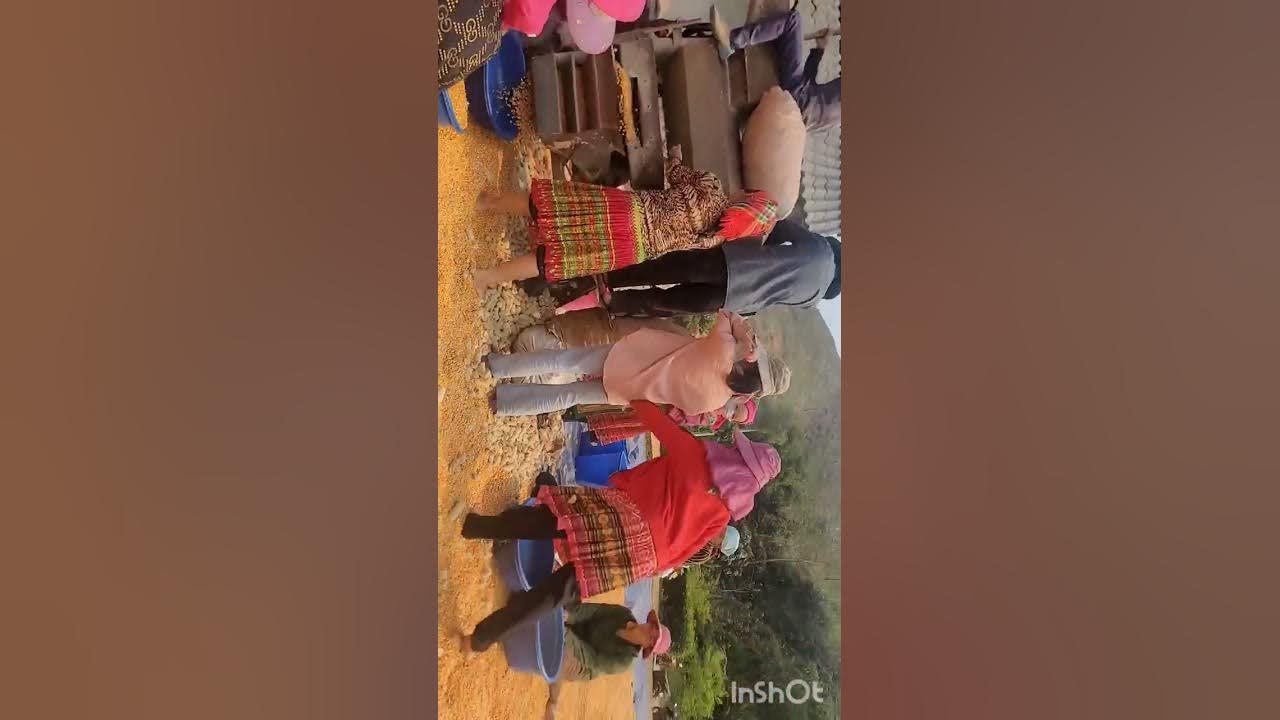 lub neej cog pob kws.os.hmoob - YouTube