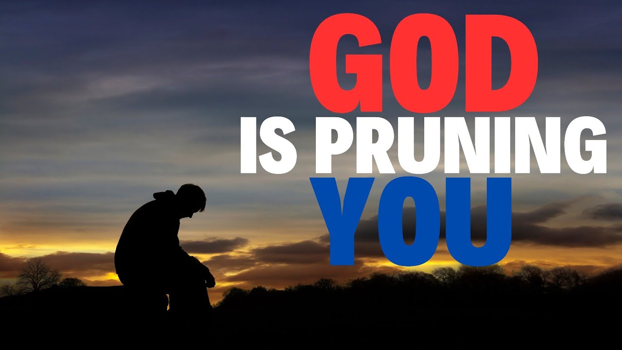 5 Signs God Is Pruning You (to prepare you for more) Christian ...