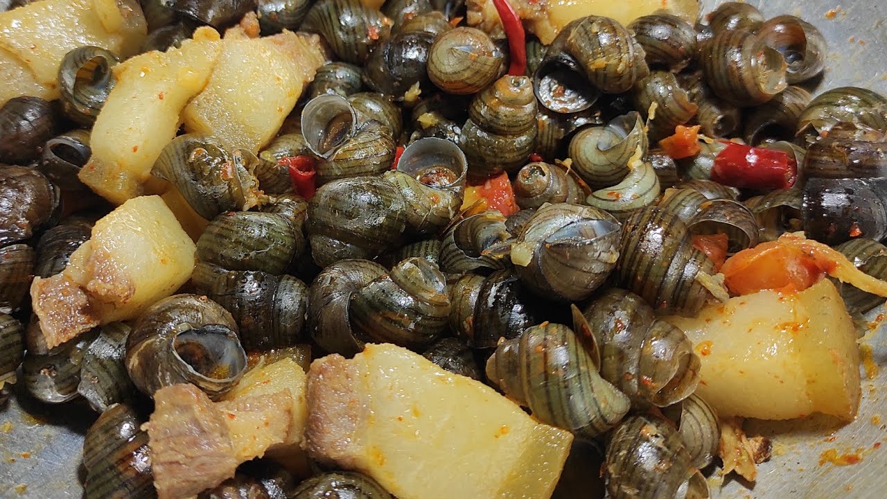 River snail with pork fat, Naga style recipe @naga masala kitchen - YouTube