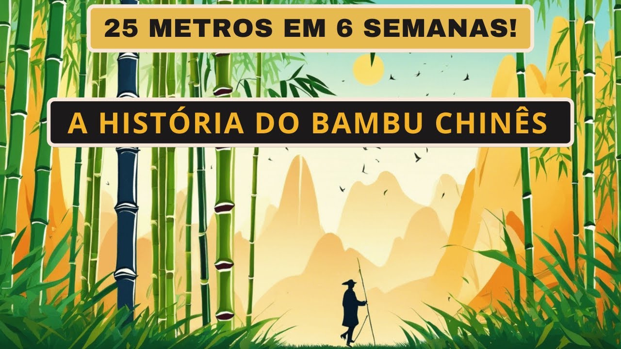 A História do Bambu Chinês: A Força da Paciência e da Persistência ...