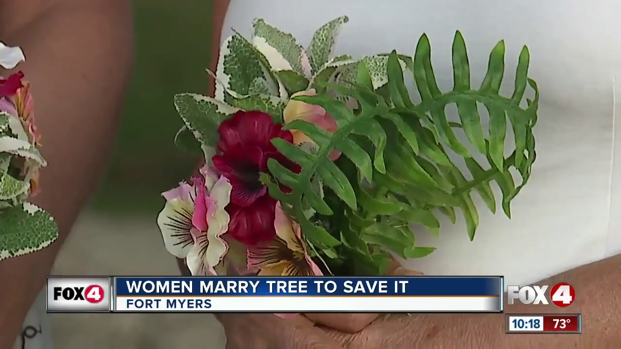 Two Fort Myers women marry tree in order to save it - YouTube