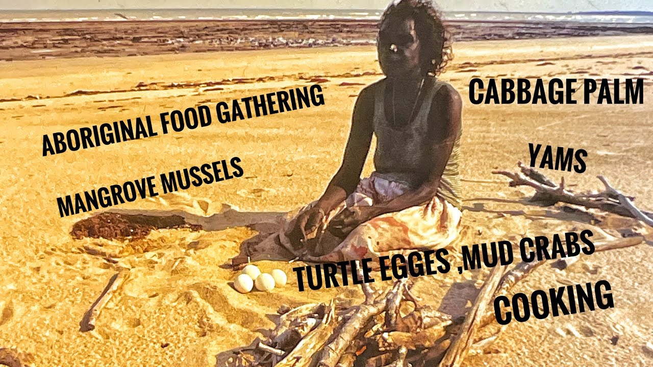ABORIGINAL FOOD GATHERING ALONG MANGROVE SWAMPS AND COASTAL PLAINS ...