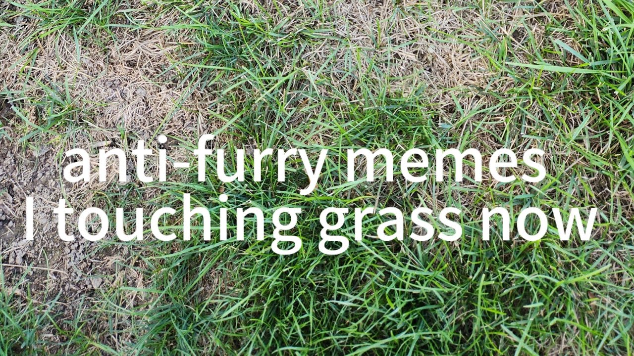 anti-furry meme compilation #28 - YouTube