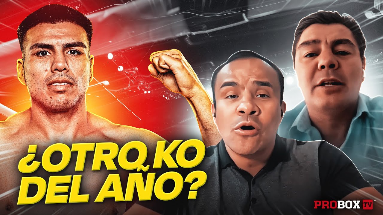 ¡PROBOX TV ENTREGA DE NUEVO! A VLADIMIR HERNANDEZ CON UN NOCAUT ...