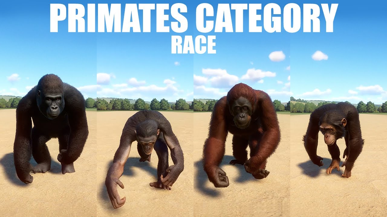 Primates Category Race in Planet Zoo included - Mandrill, Bonobo, Lemur ...