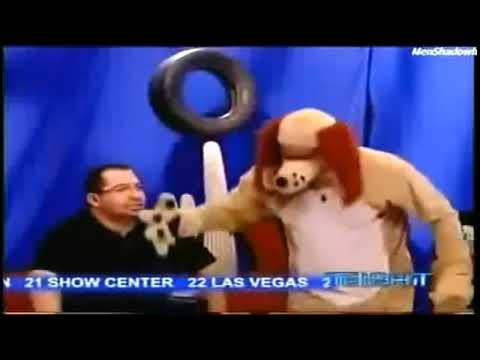 Perro Guarumo (SON MAMADaS, SON MAMADaS)🤣😂