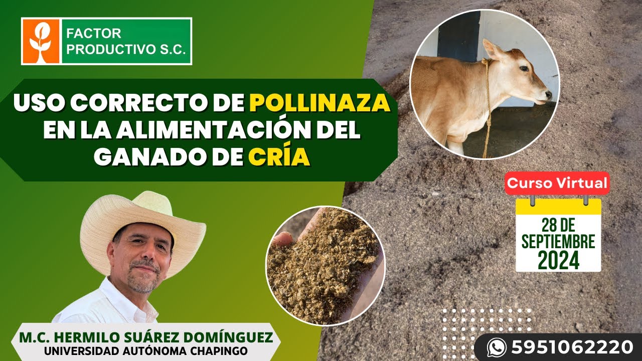 CURSO: USO CORRECTO DE POLLINAZA EN LA ALIMENTACIÓN DEL GANADO DE CRÍA ...
