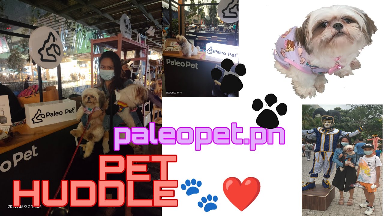 PET HUDDLE at BGC ️🐾 ️ (paleopet.ph booth) - YouTube