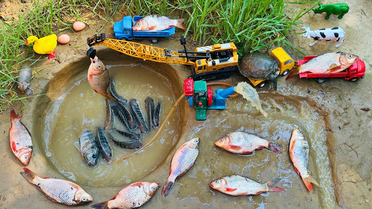 Catch fish using Mini diesel engine water pump | fishing exciting | diy ...