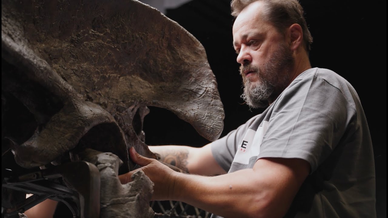 Installing three iconic dinosaurs - unearthed in Wyoming and arriving ...