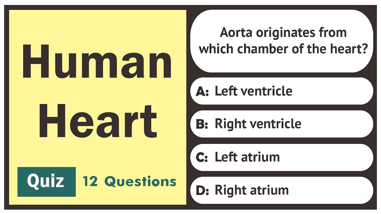 Human Heart - Quiz | 12 Questions | General Science Quiz - YouTube