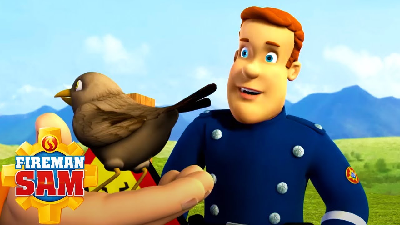 Animal rescues! | Fireman Sam Official | Cartoons for Kids - YouTube