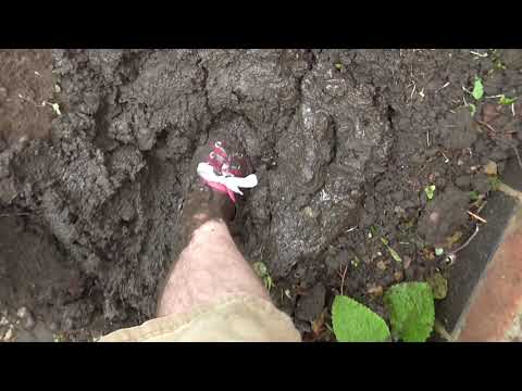 3 Clean pairs of plimsolls get very muddy